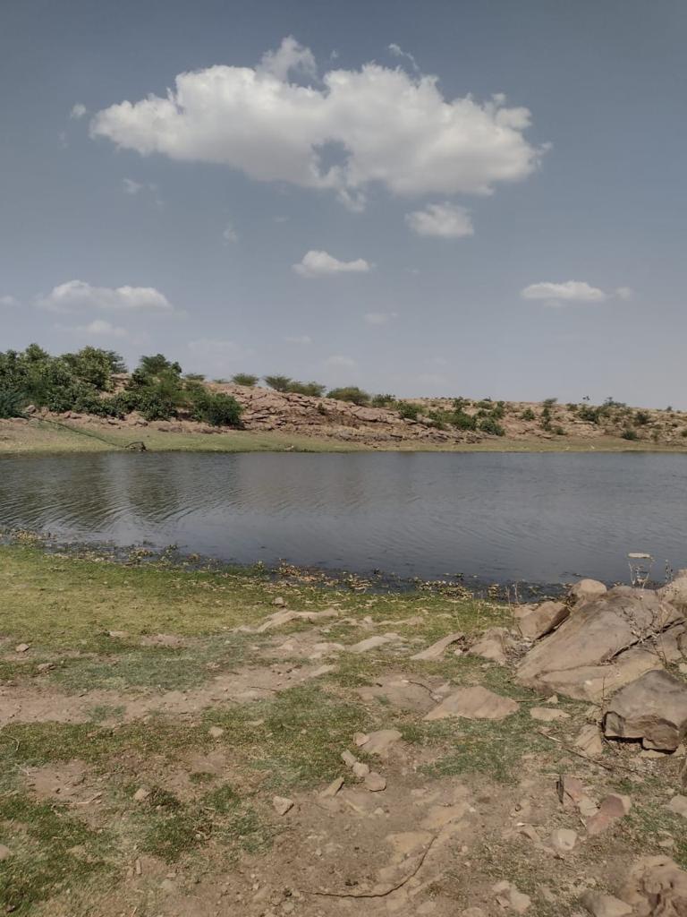 Waiting for rain… 78% water in Kotwal and Pilua Dam, Pagara Dam 85% ...