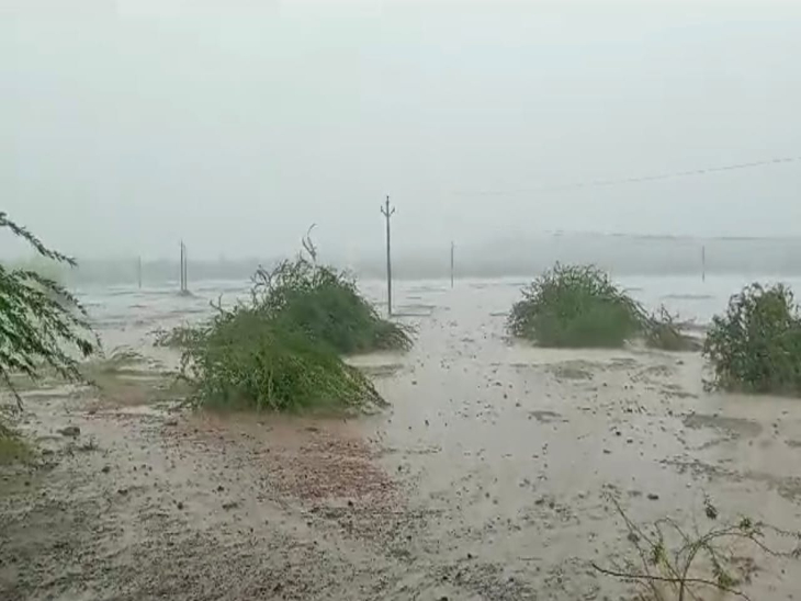 rajasthan barmer biperjoy storm. Shifted 4-5 thousand people to a safe ...