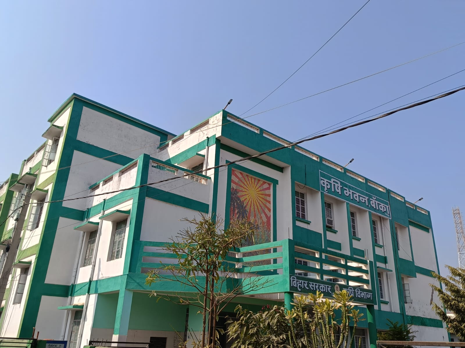 Under the National Horticulture Mission, fruit cultivation will be done ...