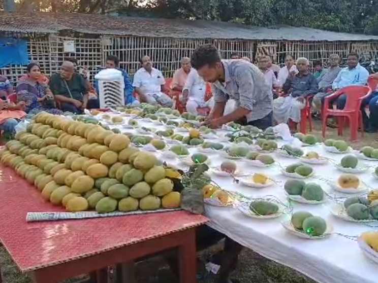 Demonstration of more than 150 varieties of mangoes, told techniques of ...