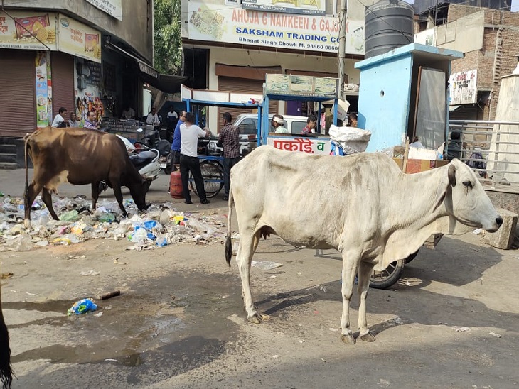 Hisar Garbage Matter Sector Municipal Corporation Hisar Urban Local ...