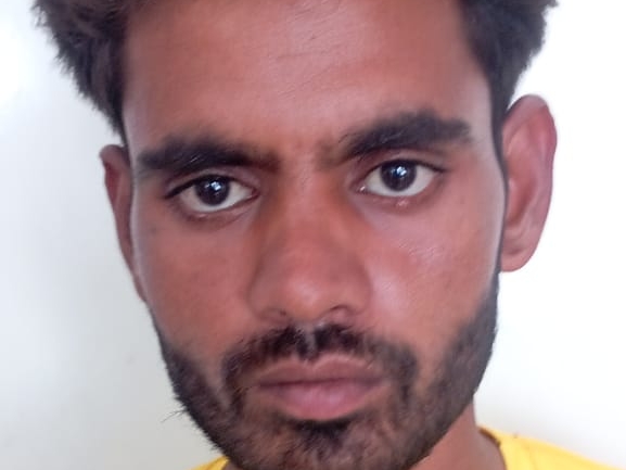 Khurai city police arrested the thieves who stole the setting plants ...