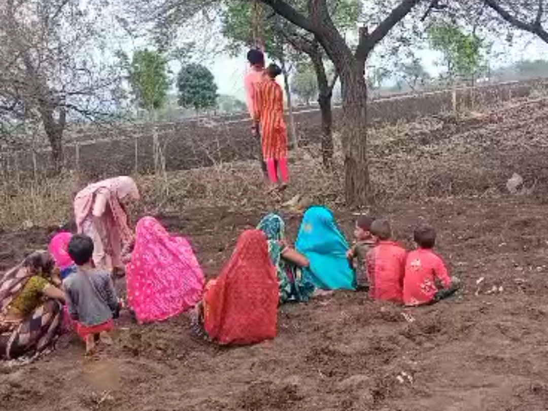 Dead bodies of both found hanging on the same rope on the tree | युवक ...