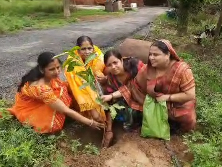 Message given to save environment by planting fruitful and shady trees ...