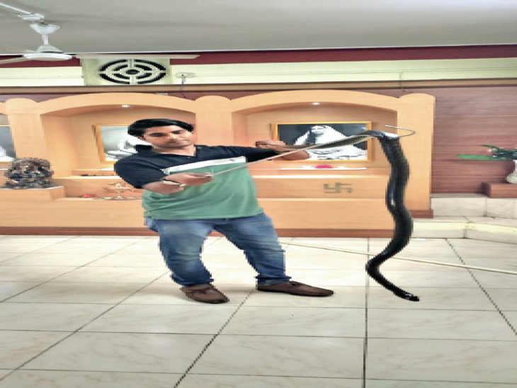 Horse overtaking in Char Imli and more cobra snakes coming out in Kolar ...