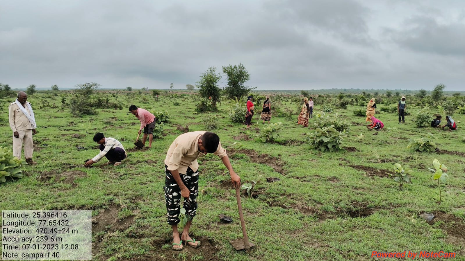 Pits were dug in summer for plantation in 2500 hectares, now 22 lakh ...