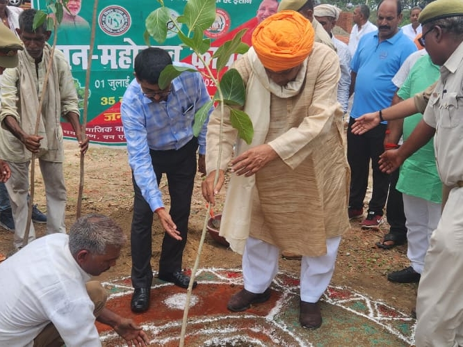 Harishankari plants planted under Van Mahotsav, distribution of ...