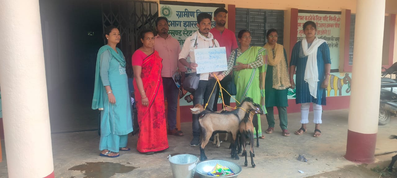 Goat distribution done under livestock scheme | पशुधन योजना के तहत किया ...