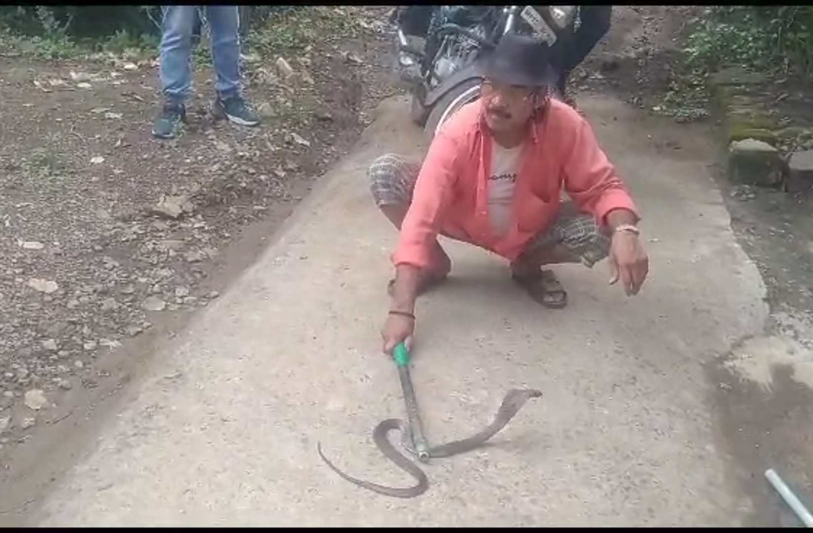 There was a stir after seeing a 5 feet long snake in the kitchen ...