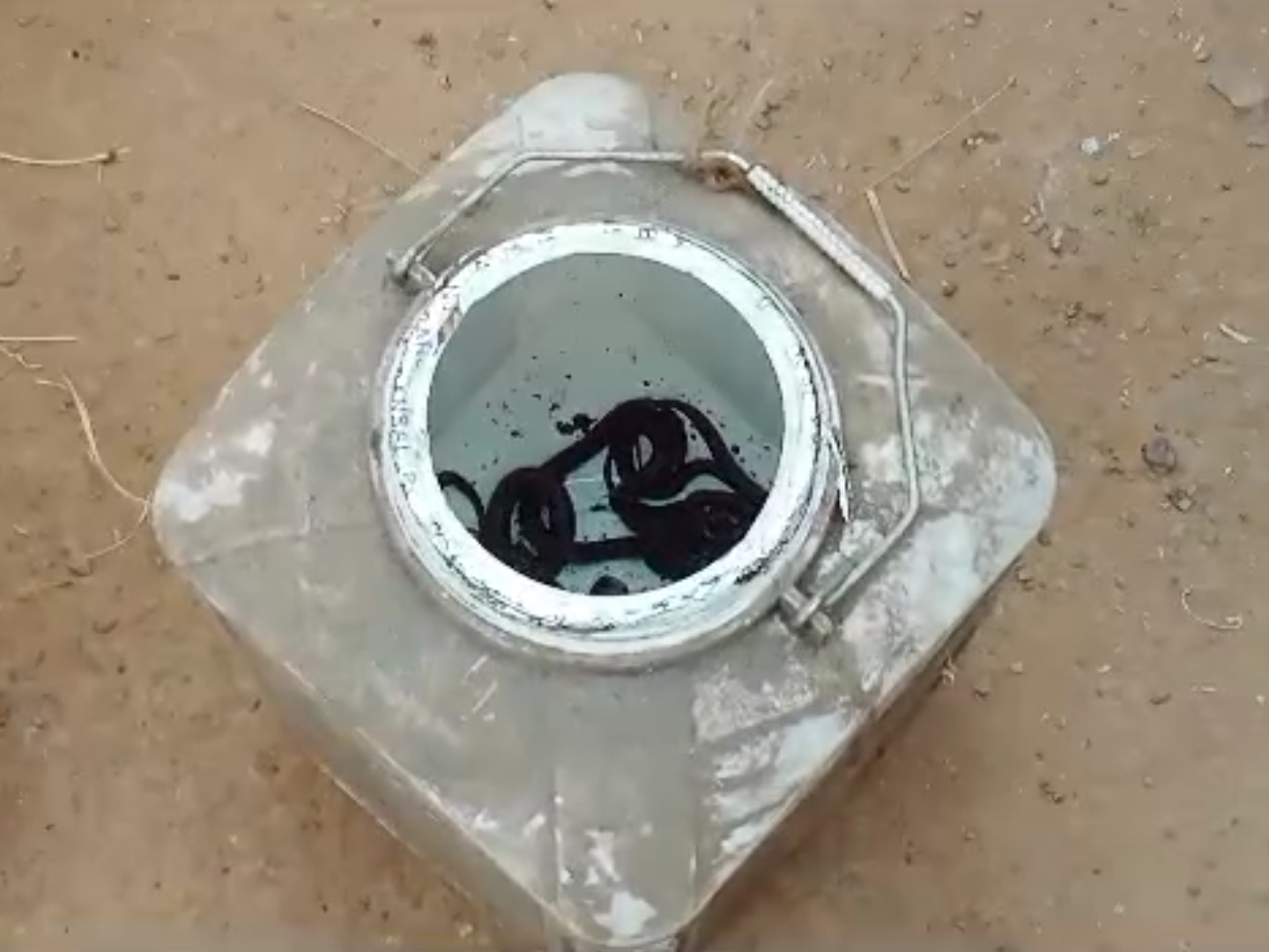 When the children saw it, they ran away screaming, the father called ...