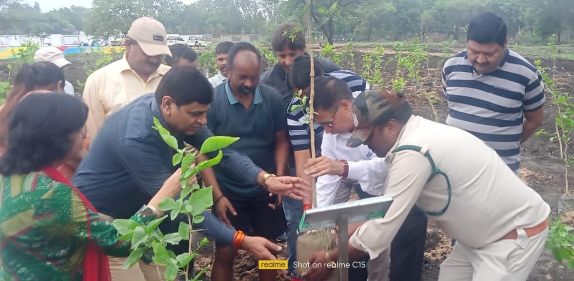 Planted more than 100 bel patra saplings in Vikram University campus ...