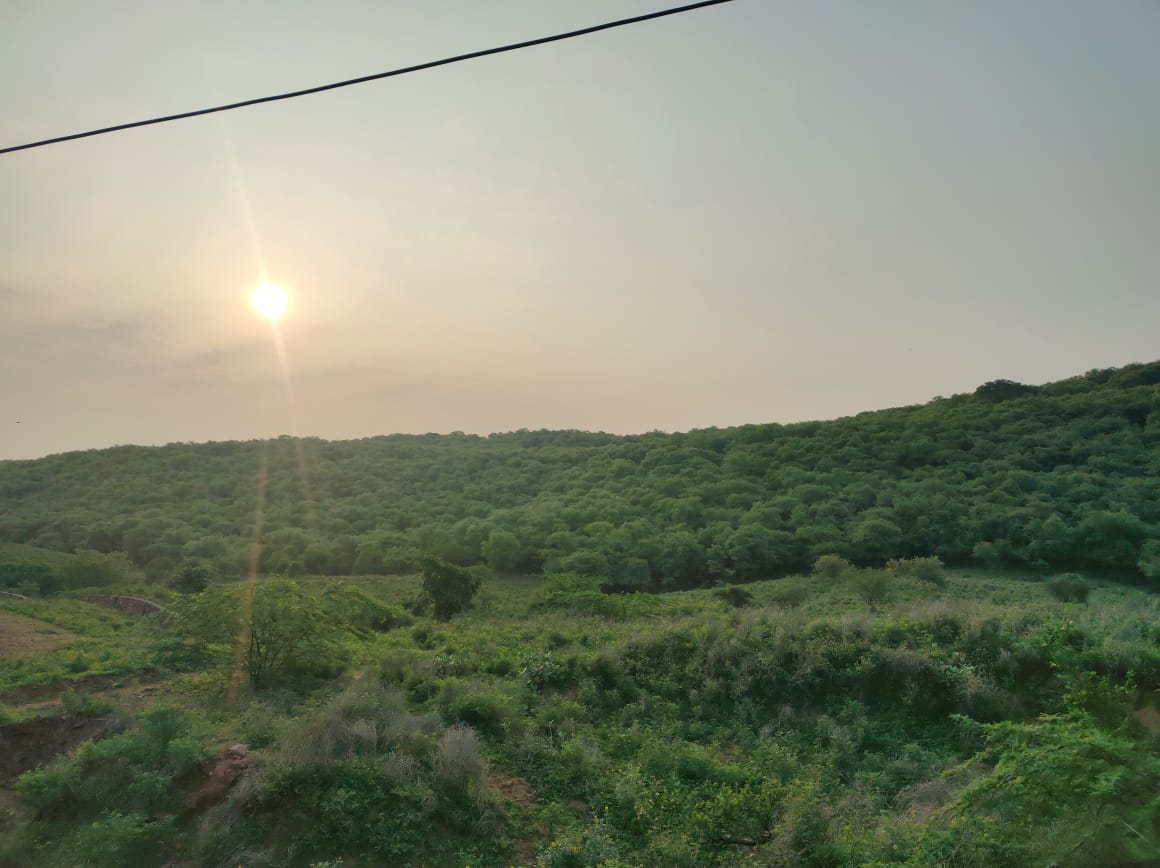 Green decoration of the plains of Machkund, as soon as the month of ...