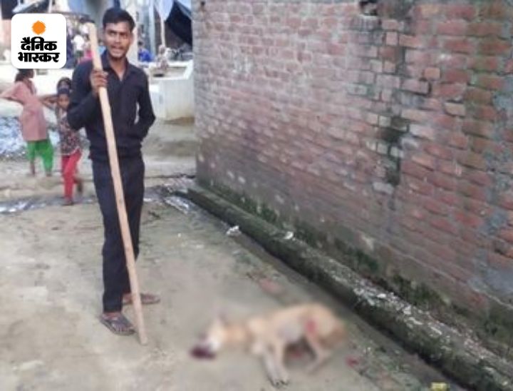 Case registered against the accused, dog's post mortem was done