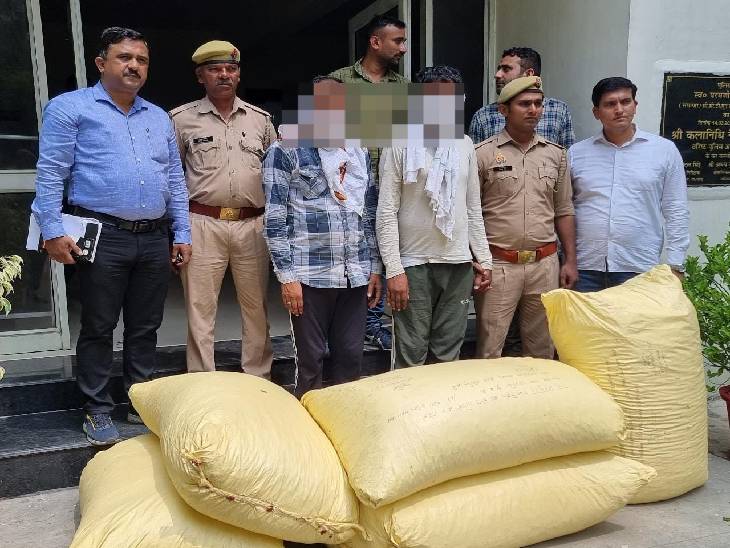 220 kg of ganja was brought from Orissa by hiding under salt sacks in ...