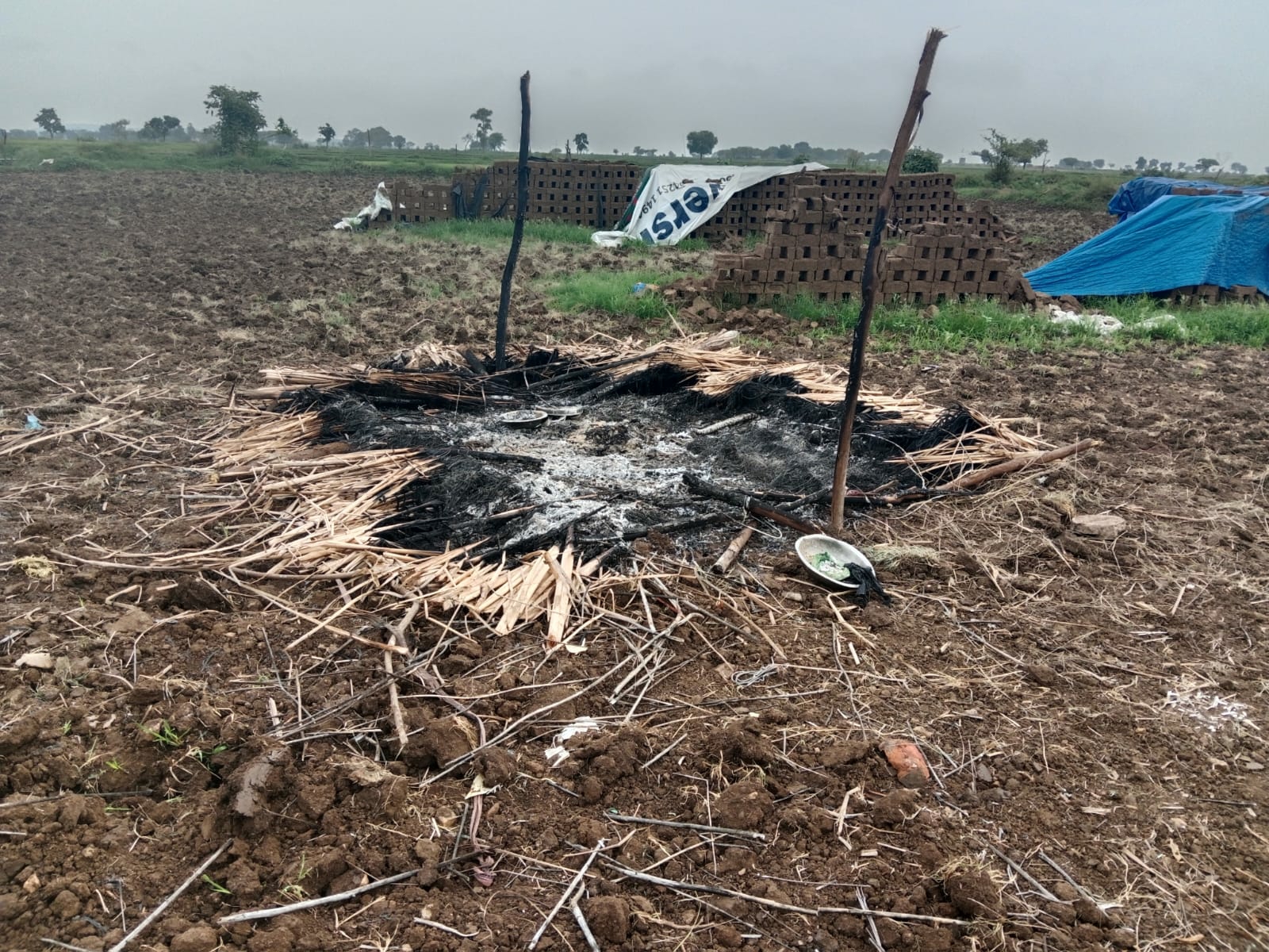 MP Adivasi Assault; Gwalior Family Beaten Over Land Dispute In ...