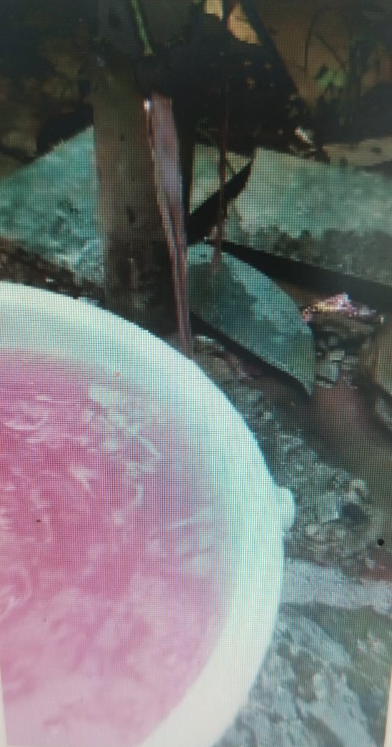Pink colored water came from the taps, after investigation the official ...