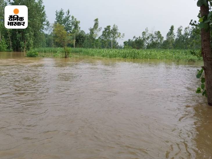 Dhela river water flowing over Moradabad-Kashipur link road; Flood like ...