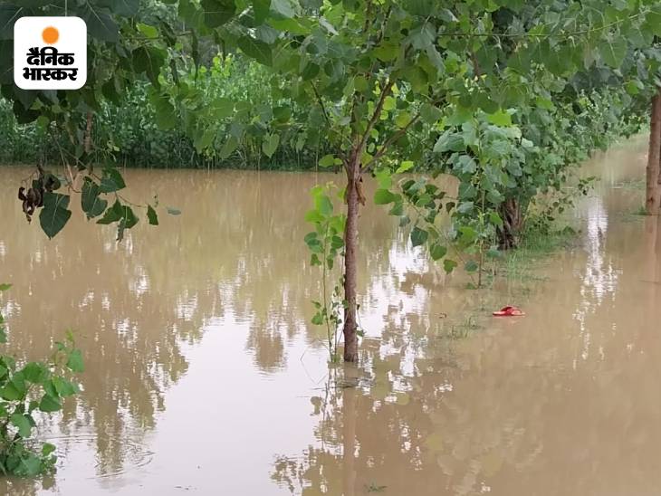Dhela river water flowing over Moradabad-Kashipur link road; Flood like ...