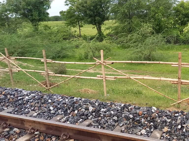 Bamboo and bat fence will stop common people and animals, tender issued ...