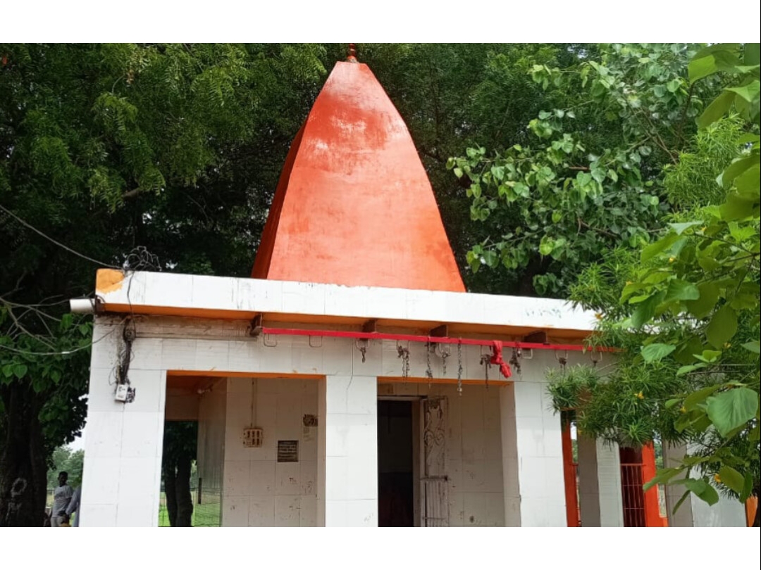 Crooks stole 45 hours and took them with them, anger among villagers ...