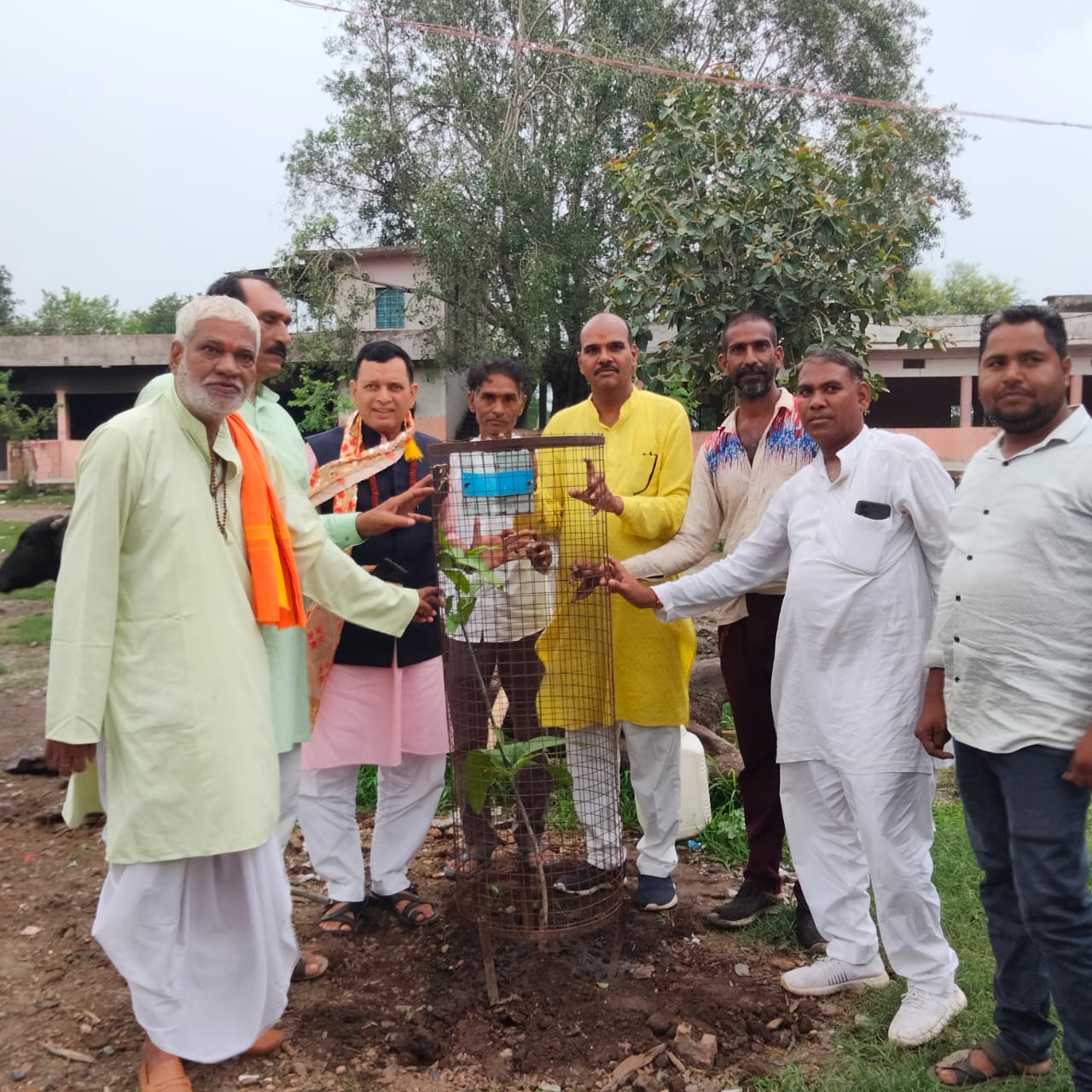 Plantation done in the temple | मंदिर में किया पौधारोपण - Susner News ...