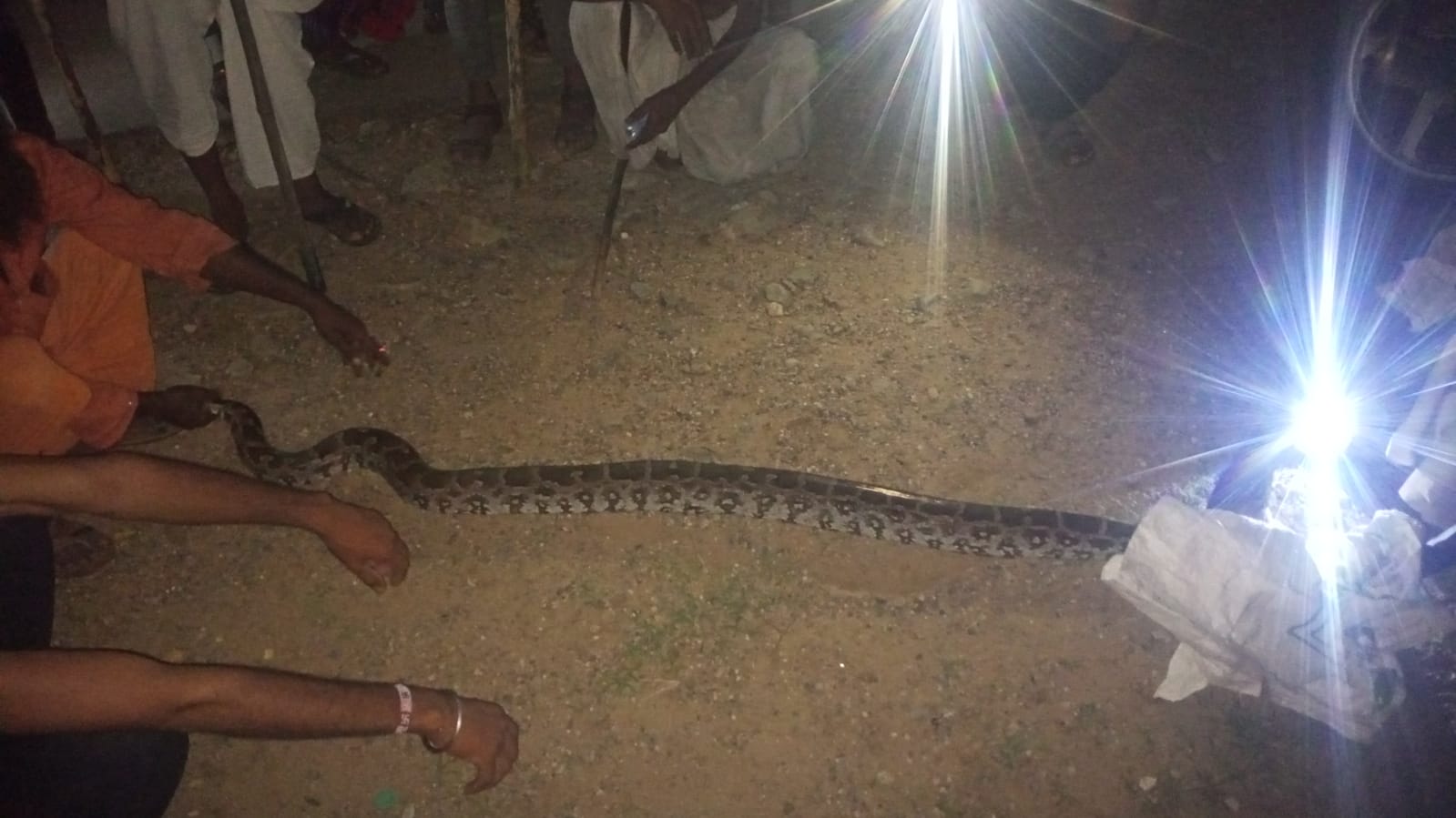 10 feet long python entered the house in the middle of the night ...