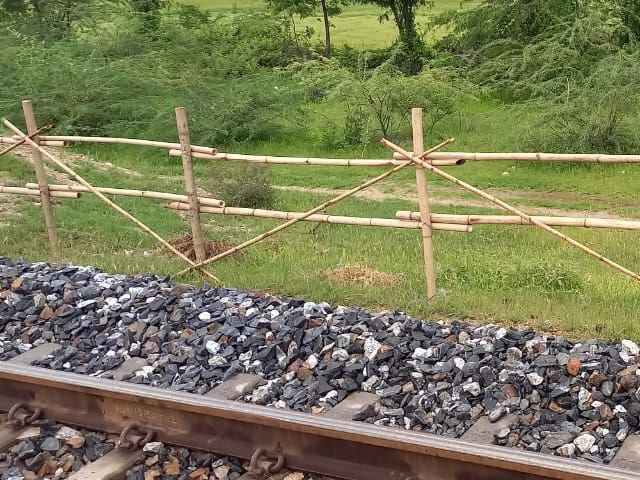 Railways to carry out track fencing work in Rajasthan's Pali | ट्रेनों ...