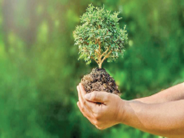 One student, one tree campaign will run in institutions and basic life ...