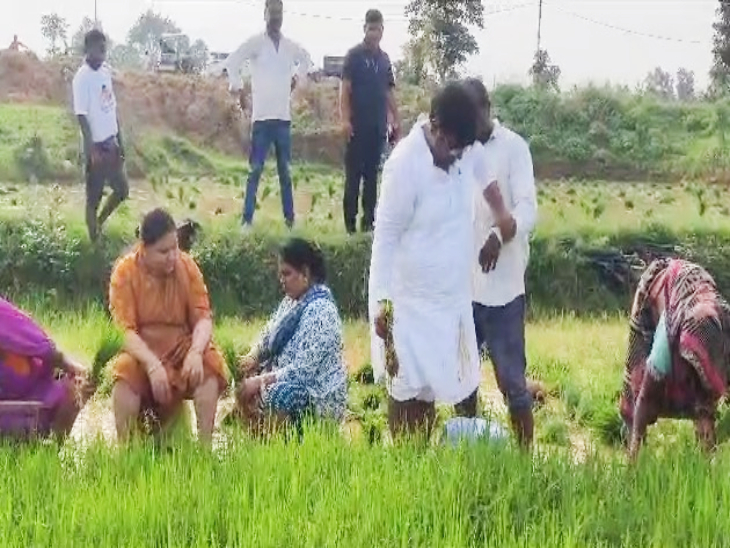 MLA Vinay Jaiswal along with wife planted saplings in the field, also ...