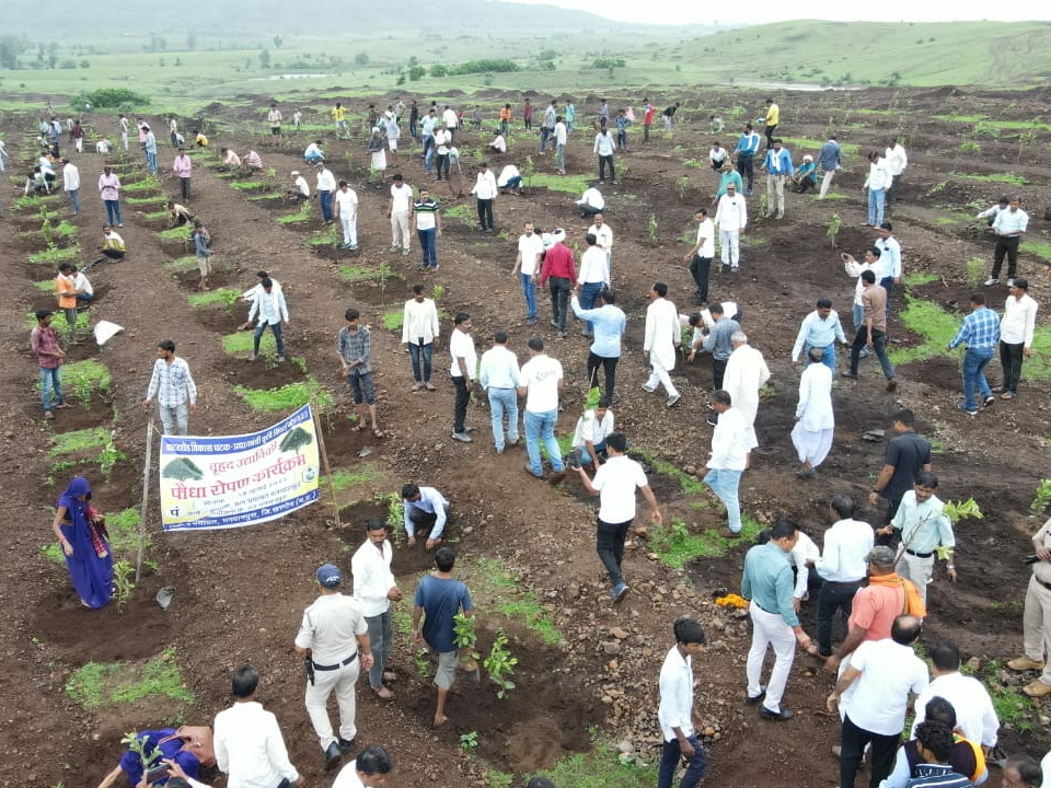 Plant 3333 guava plants on 3 hectares of land in Bhagwanpura's Vasali ...