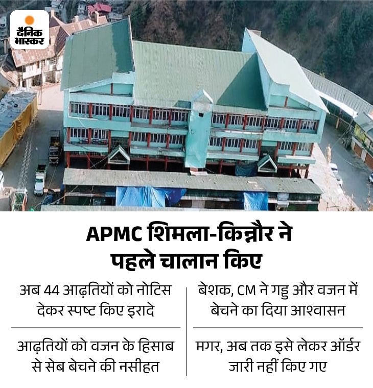 Shimla: APMC action | Show cause notice to Aarthi | Commission Agent | Parala Mandi | Apple ...