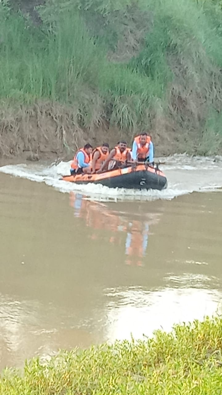 A young man jumped into the water to save a buffalo in the Quarry river ...