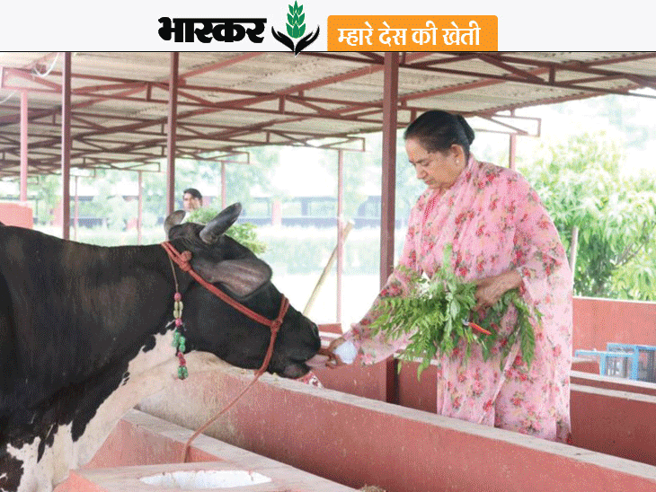 Rajasthan Shabri Organic Farm; BJP Farmer Jaskaur Meena Story | Sawai ...