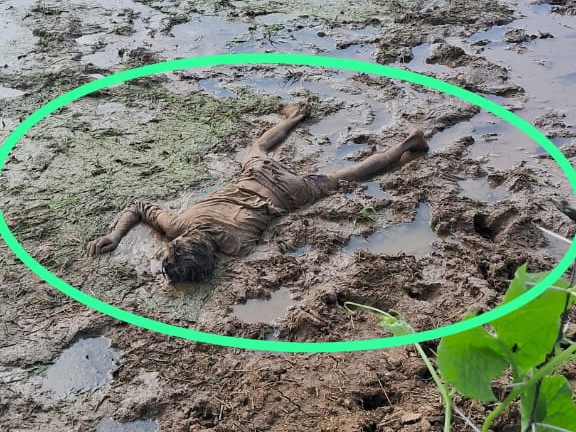 Dead body was found in the field where paddy was to be planted | खेत ...