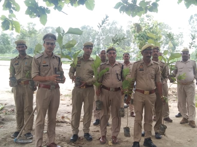 Plantation done by freeing encroachment on 48 bigha Harishankari land ...