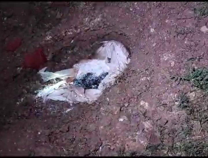 Drishyam Real Life Story; MP Jabalpur Missing Rohit Dead Body Mystery ...