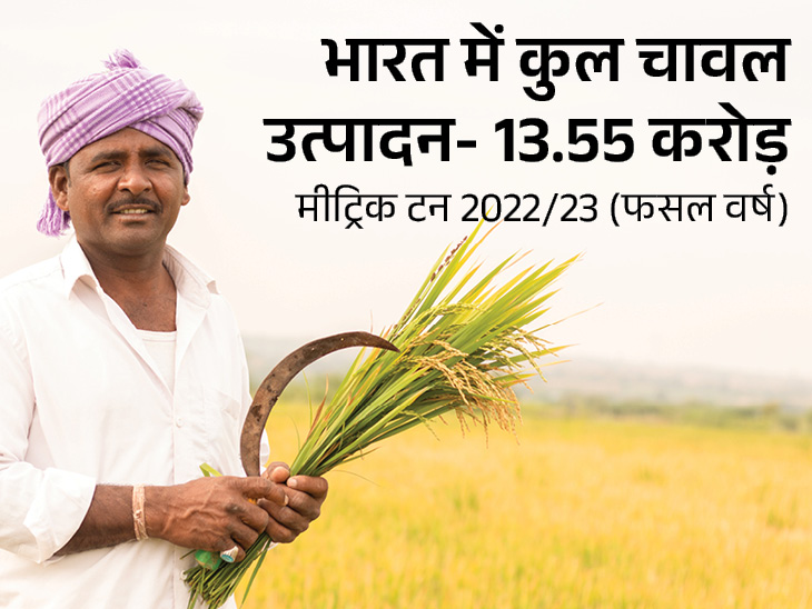 IMF encourages India to remove export restrictions on Non-basmati white rice | चावल एक्सपोर्ट ...