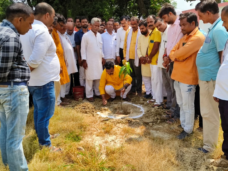 Former Minister Dr. Satish Dwivedi planted trees for the purity of the ...