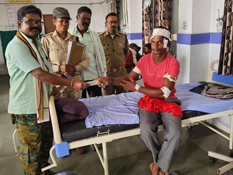 The person went to the forest to collect mushrooms, the matter of ...