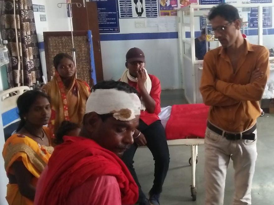 The person went to the forest to collect mushrooms, the matter of ...