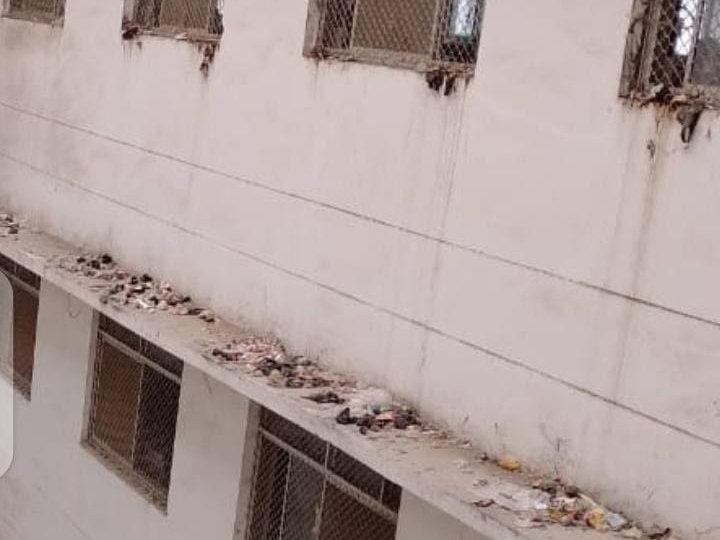 Giving feast of disease, toilet and water tank are covered with filth