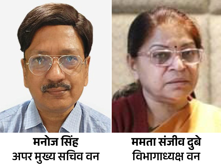 IFS Mamta Dubey transferred 100 3 days before retirement, now ...