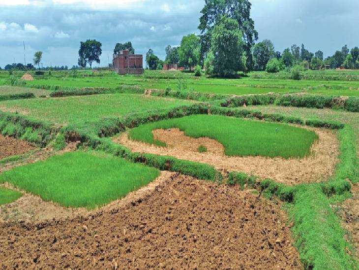 10 districts including Sarguja dry due to floods in Bijapur-Sukma ...