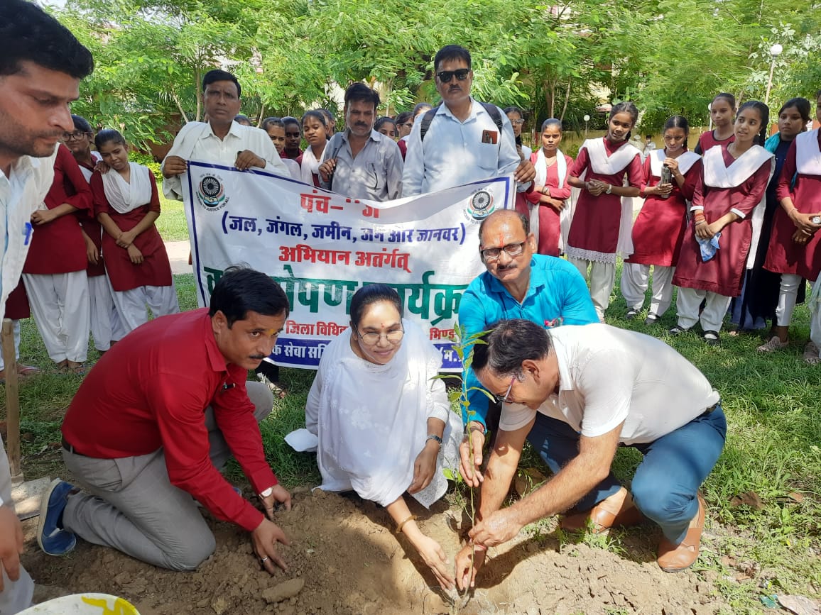 Saplings planted under Panch J campaign | पंच ज अभियान के तहत रोपे गए ...