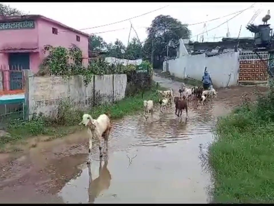 Problems piled up in Amlada Dongar village, villagers deprived of basic ...