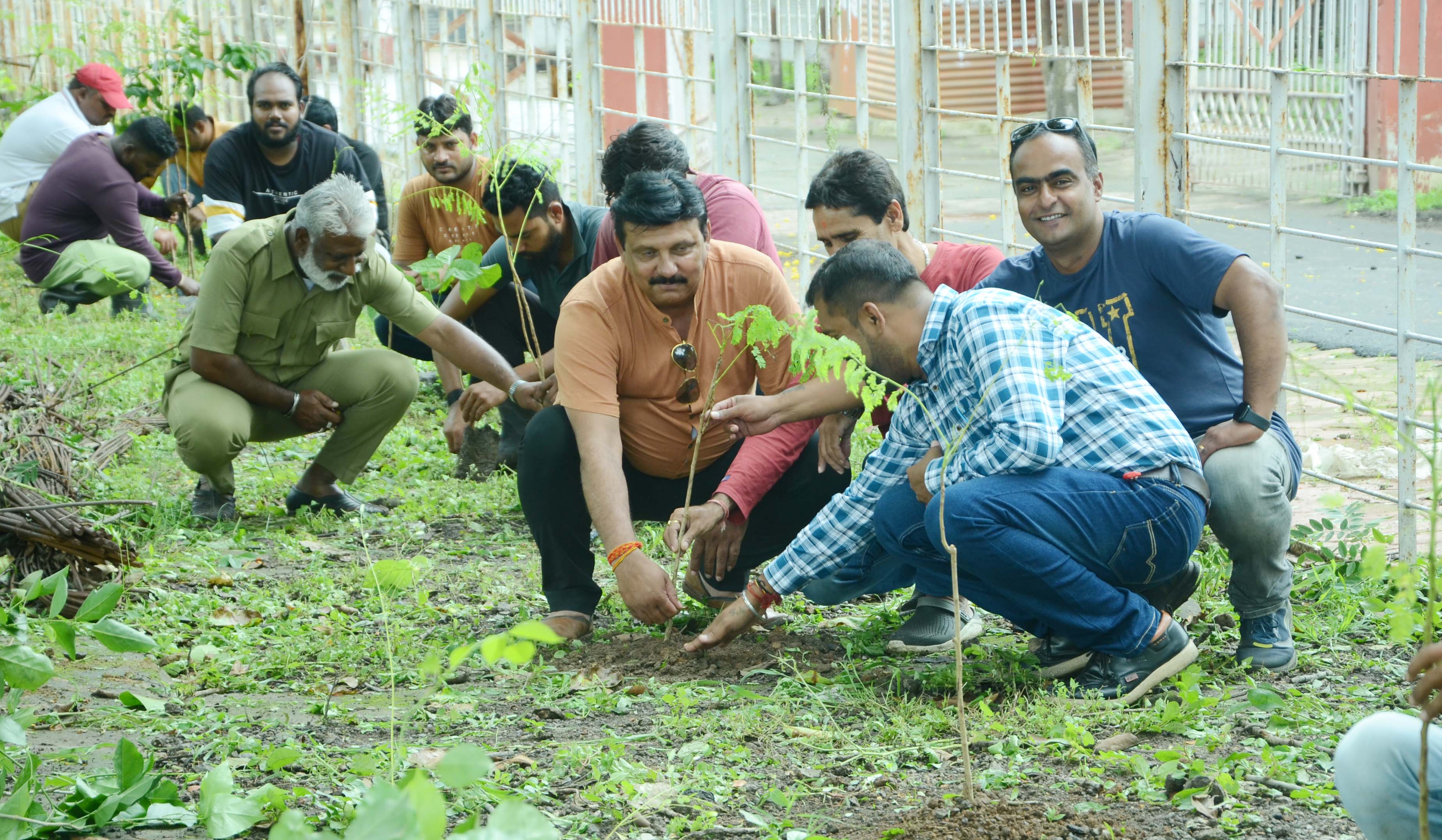 More than 300 plants of 6 species planted on the sides of the garden ...