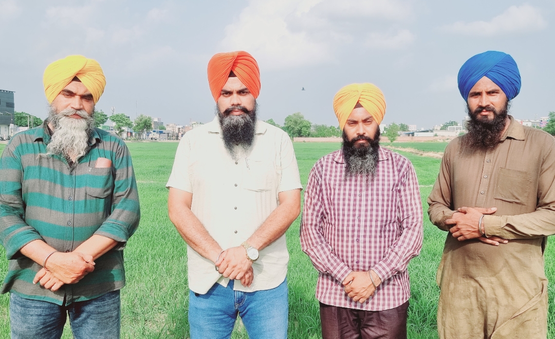 Gurudwara Baba Gandha Singh prepared paddy paneer in 1 thousand acres ...