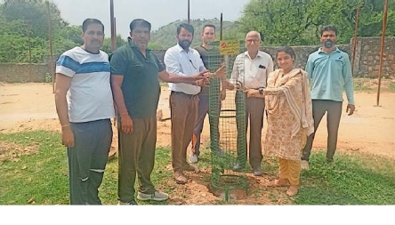 SDM planted Paras Peepal tree in the playground | खेल मैदान में एसडीएम ...