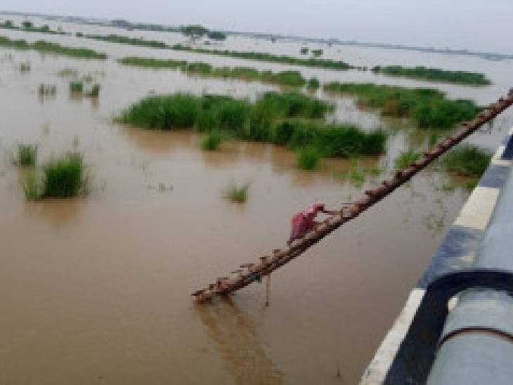 Saryu's water level 30 cm above the danger mark | सरयू का जलस्तर खतरे ...