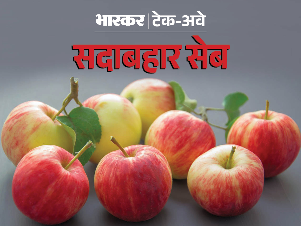 Eat half the food of hunger easily digested, do not cook vegetables for ...